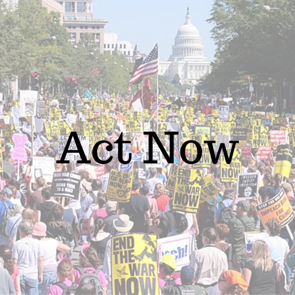 Peace Voter - Peace Action