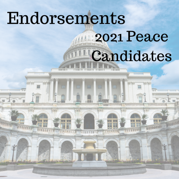 Peace Voter - Peace Action