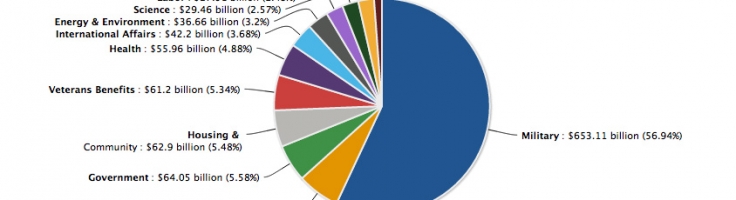 pie chart - Peace Action